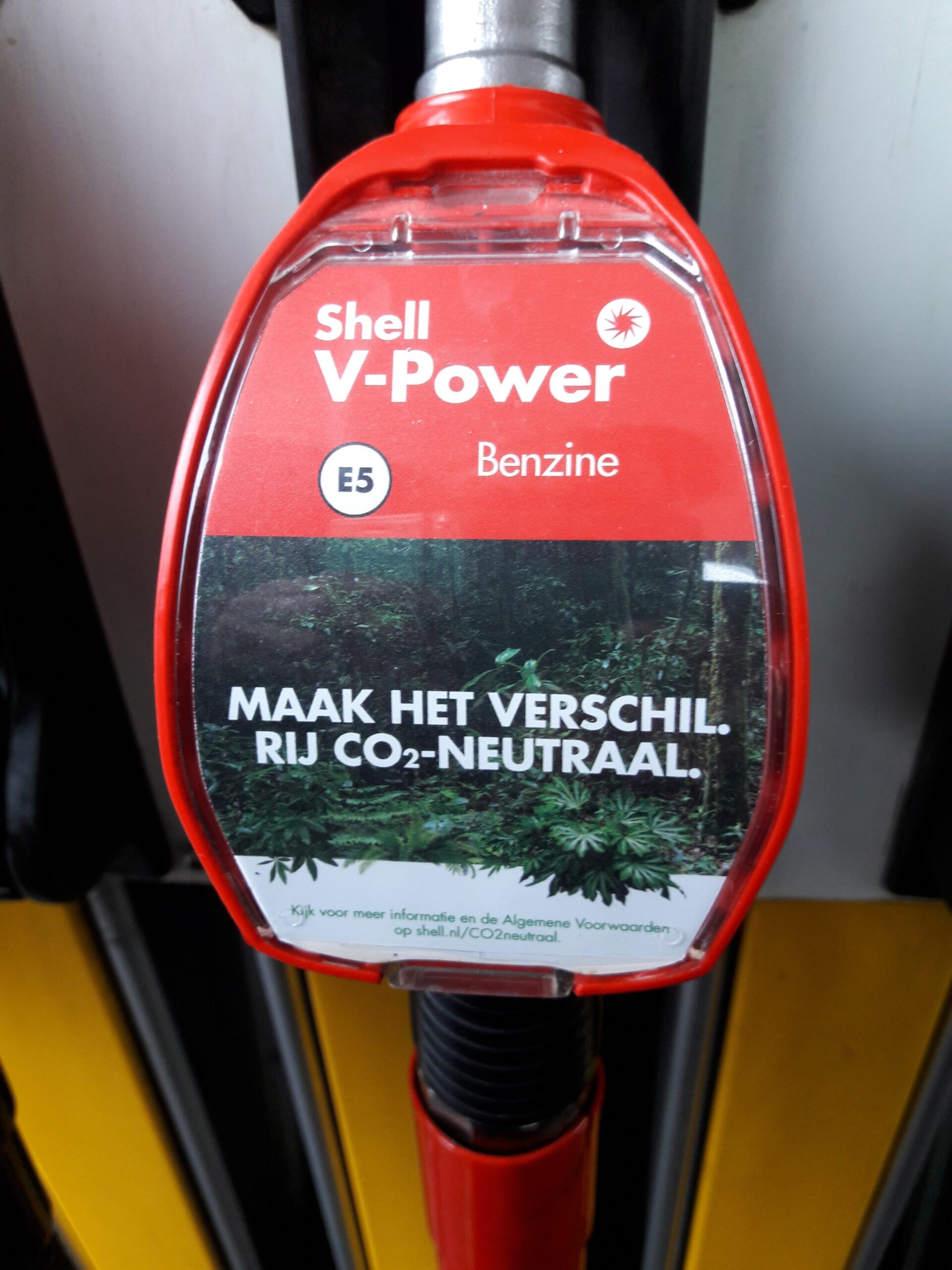 Kan Shell zijn CO2-uitstoot compenseren met een mega-bos? — Milieudefensie