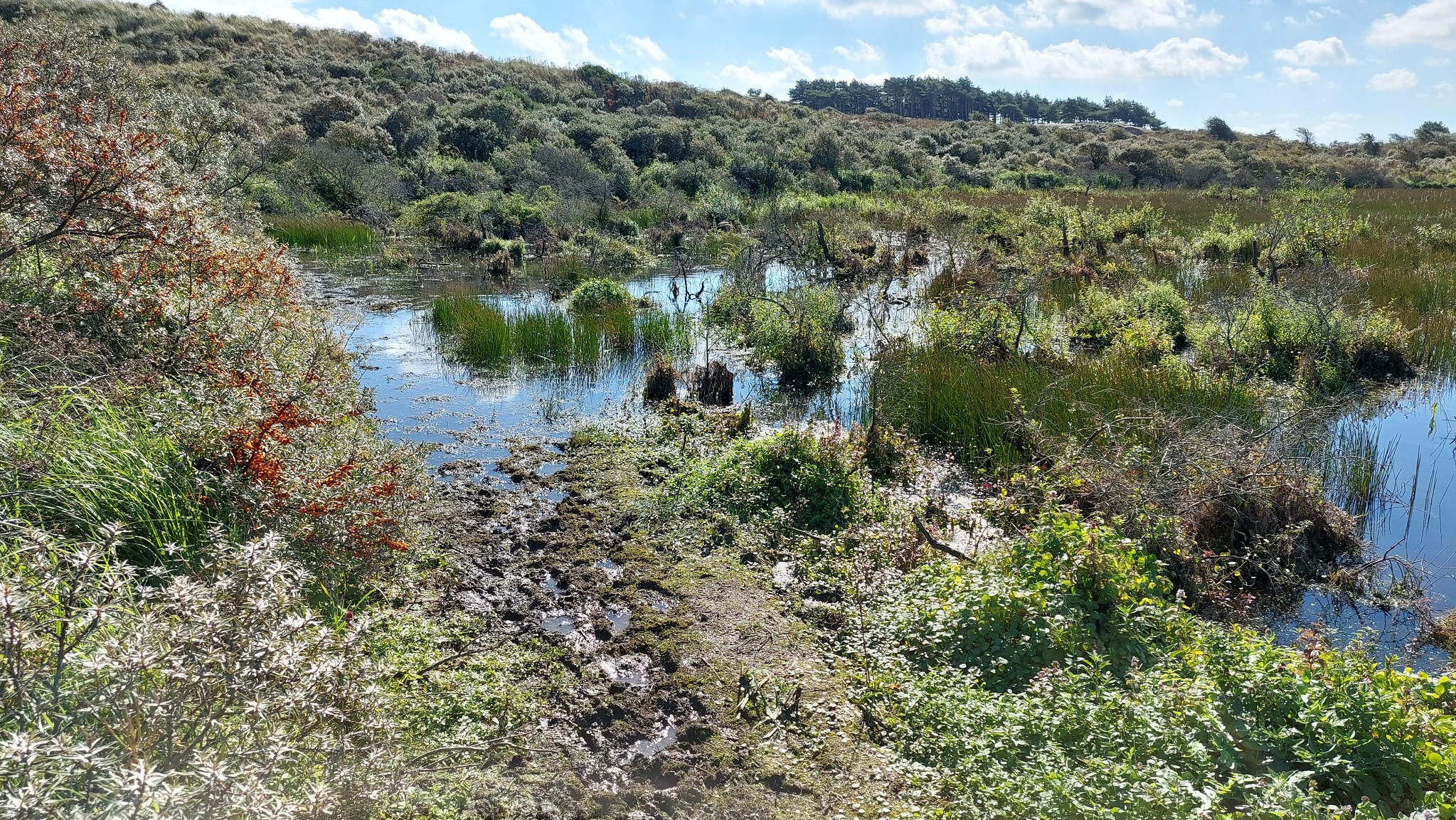 Minister, blijf investeren in natuur, klimaat en milieu — Milieudefensie